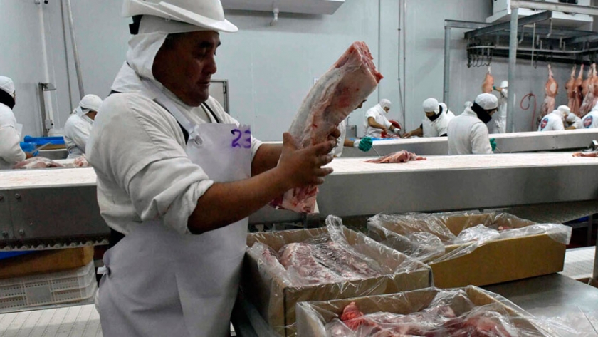 De Córdoba a China: productores de cerdo exportarán excedentes al ...