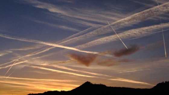 El escudo de Harvard | Agroempresario.com