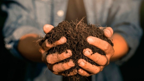 Qué es Terraton, la solución al cambio climático que se presentó en el ...