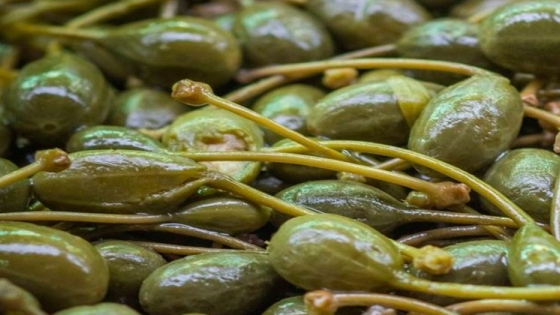 Alcaparra: cómo produce Argentina este alimento que creció hasta 15% en ...