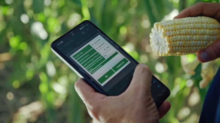 Qué es el Coordinador AgTech, el nuevo puesto clave para el agro | Agroempresario.com