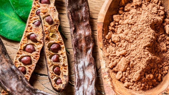 Algarroba: propiedades y beneficios | Agroempresario.com