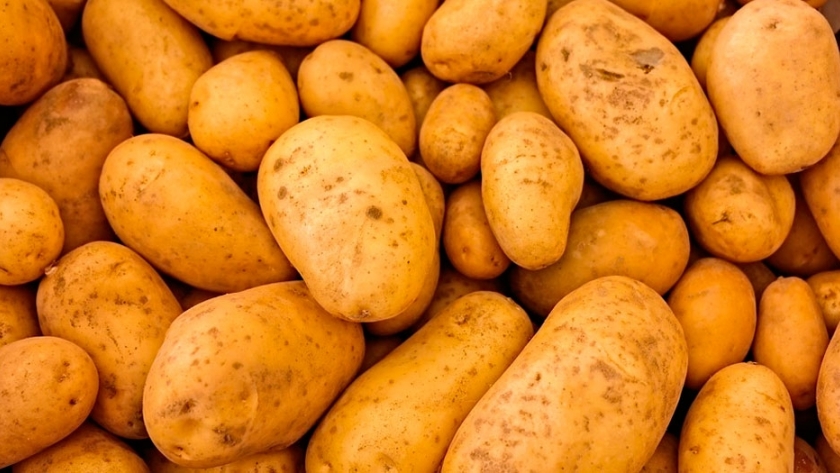 Modifican el gen que provoca que la papa se ponga negra ...