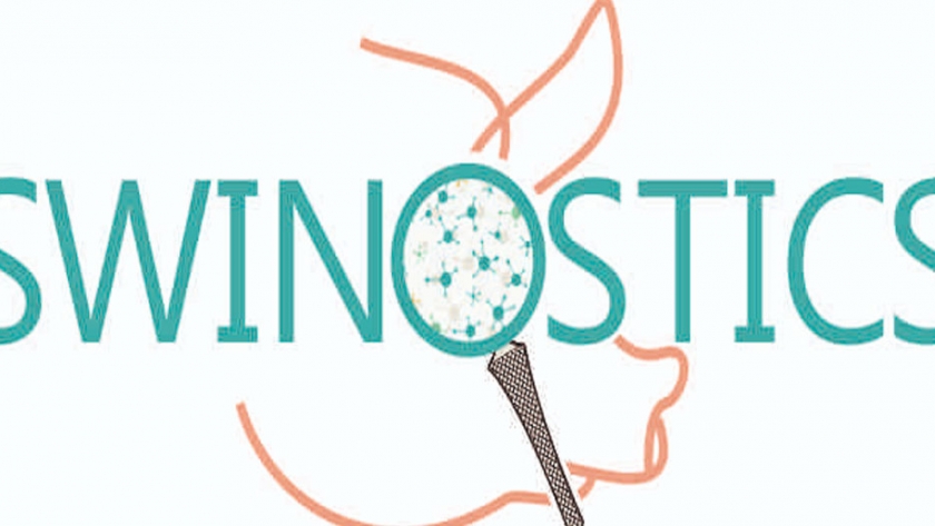 Swinostics: dispositivo para detectar enfermedades virales de porcinos ...