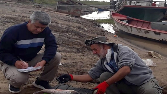 Brindan detalles sobre la bajante del río Paraná y preservación del ...