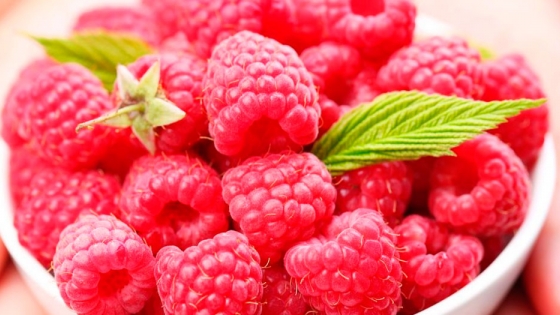 Lanzan oficialmente una nueva generación de variedades de frambuesa ...