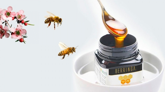 Los beneficios de la miel de manuka | Agroempresario.com
