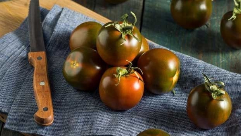 Características y cultivo del tomate Kumato | Agroempresario.com