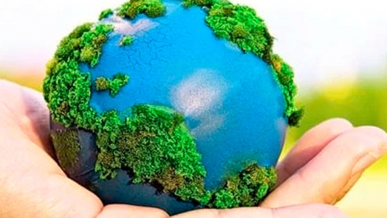 Cultura Ambiental | Agroempresario.com