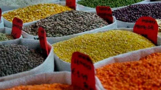 Legumbres: qué son y una lista de tipos de legumbres más comunes ...