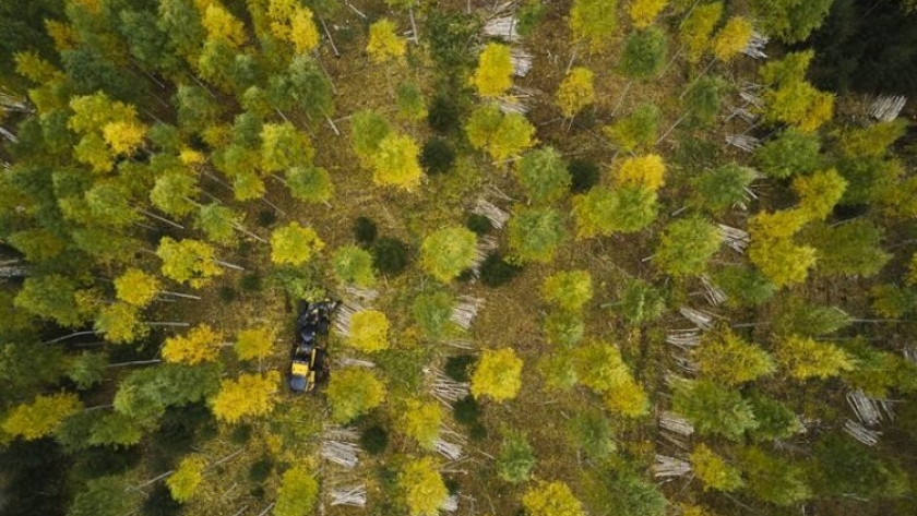 Sostenibilidad y productividad - PONSSE reduce la huella de carbono ...