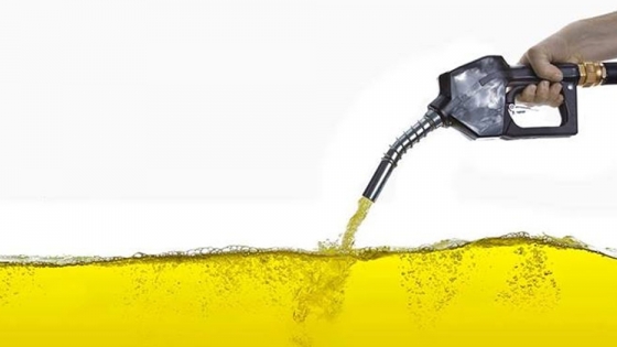 ¿Qué es el biodiesel? | Agroempresario.com