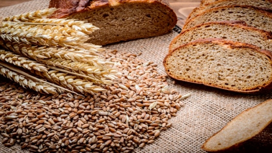 Centeno: propiedades, beneficios y valor nutricional | Agroempresario.com