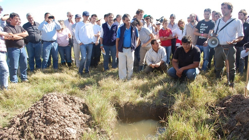 Pasto por ambientes, una buena idea | Agroempresario.com