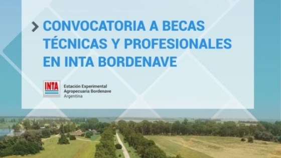 Becas Profesionales y Técnicas en INTA Bordenave | Agroempresario.com