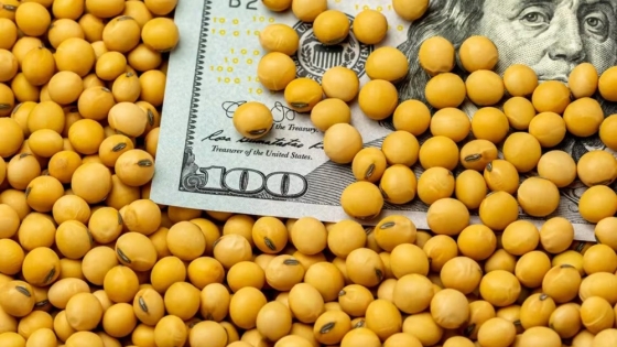 Incremento en agroexportaciones y su impacto en la economía argentina ...