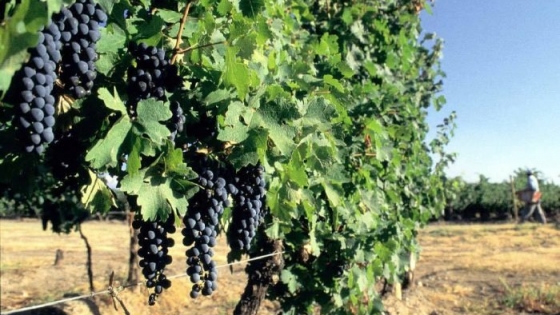 Fue derogada la ley que obligaba a registrar los contratos de compra ...