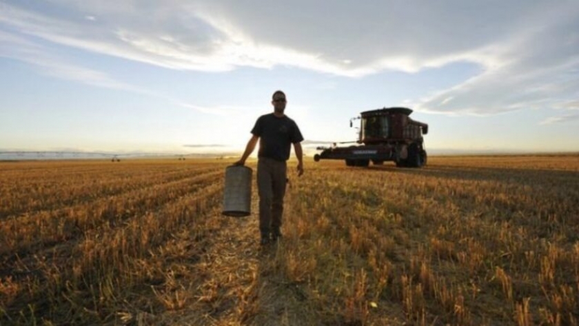 Trabajadores rurales, entre el campo y la ciudad | Agroempresario.com