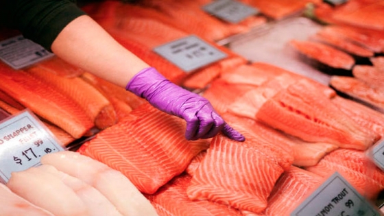 Trusal y Nova Austral se juntan para producir salmón en el sur de Chile ...