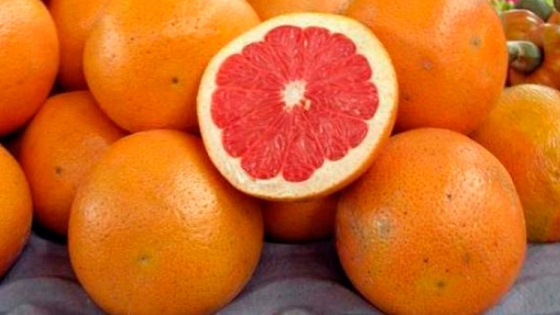 Formosa produce 15.000 tn de pomelo | Agroempresario.com