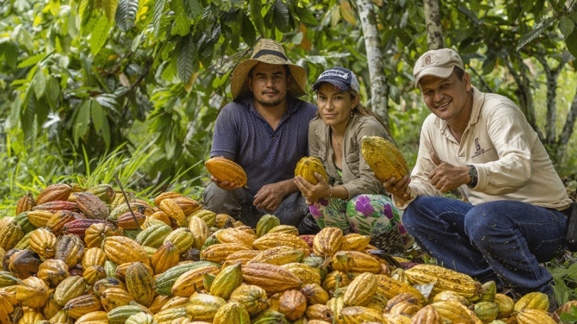 Colombia es cacao, la plataforma clave para promover el grano y sus ...
