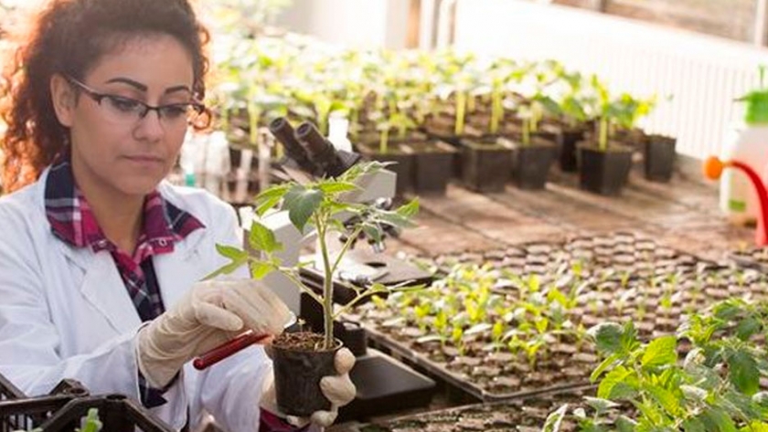 Fungicidas: FMC adquirirá el principio activo Fluindapyr por US$60 ...