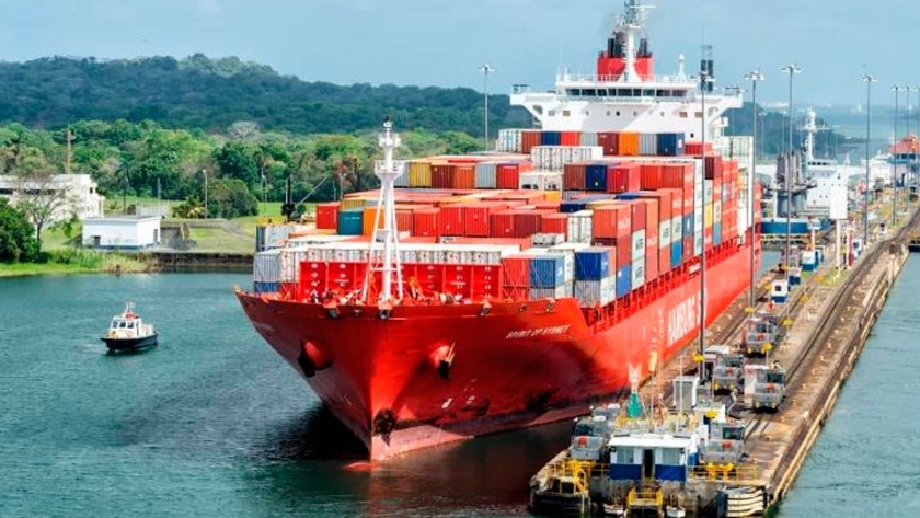 Crecen los envíos de flores por barco, debido a la elevación de los ...