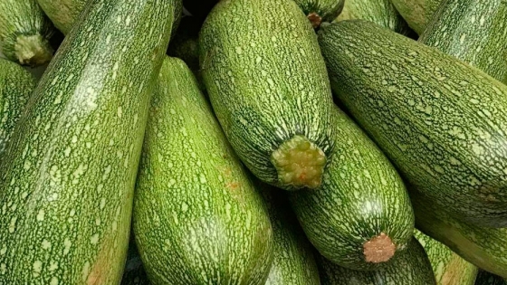 Requerimientos de fertilizantes de calabaza: Guía para la alimentación ...