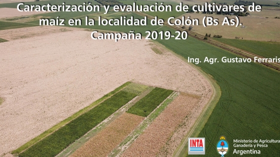 Caracterización y evaluación de cultivares de maíz en la localidad de ...