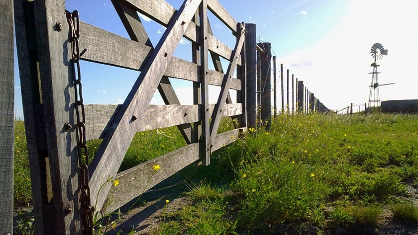 Inmuebles rurales: los valores de la tierra tientan a los inversores ...