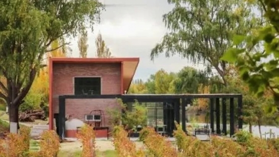 El enoturismo se lucirá en "Puro Vino Bariloche" | Agroempresario.com