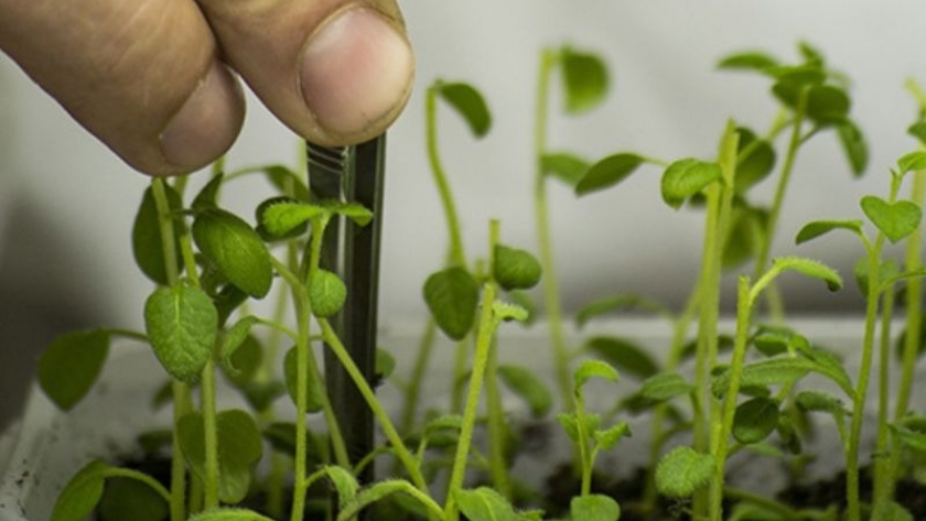 INTA y Conicet articulan agenda para la innovación en el agro ...