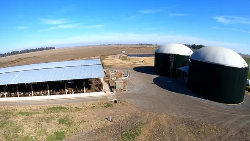 San Lino Agropecuaria: de una mala experiencia a crear un feedlot de primera, que genera energía ...