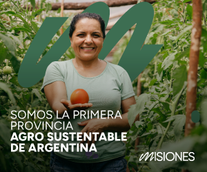 El alcornoque: árbol multifuncional que aporta sombra, corcho y ...