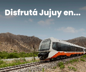 Yvyrá-pytá, un árbol con potencial para la restauración de bosques ...